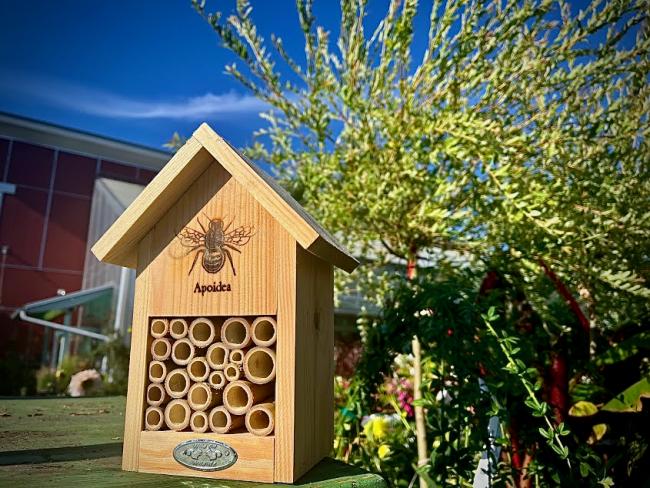Creating Bee Houses: A strategy in your conservation tool box ...